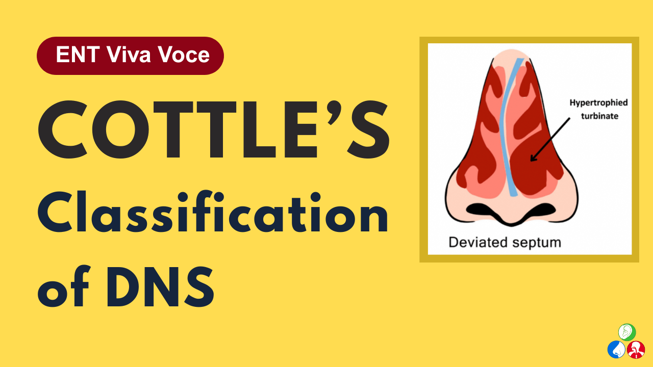 Cottle's Classification of Deviated Nasal Septum | ENT Notes & Lectures