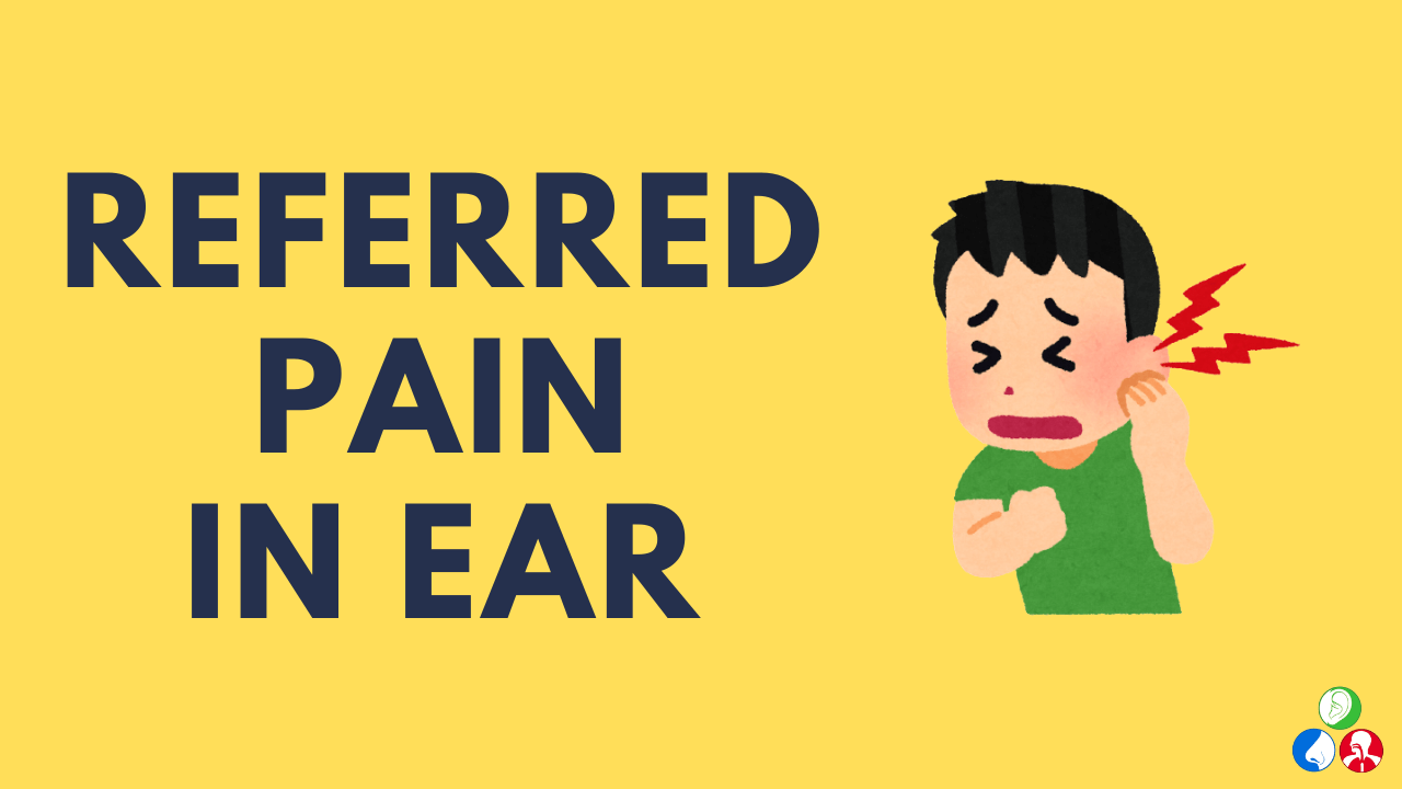 Referred Pain in the Ear | ENT Notes & Lectures